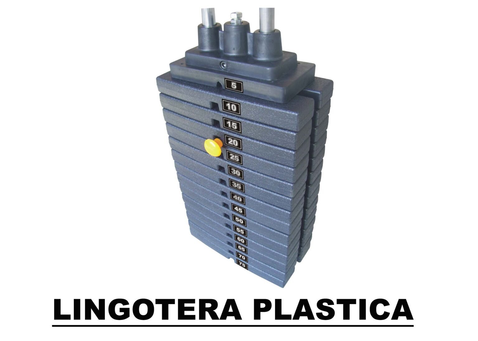 LINGOTERAS – Repuestos Gym